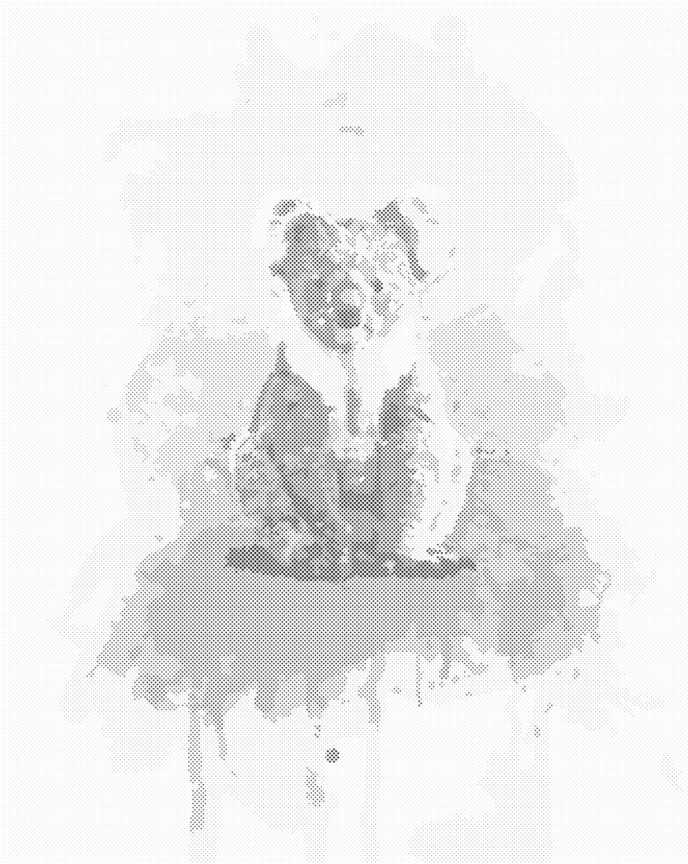 Picturi cu puncte - URS COALA PE FUNDAL COLOR – ZUTY RO