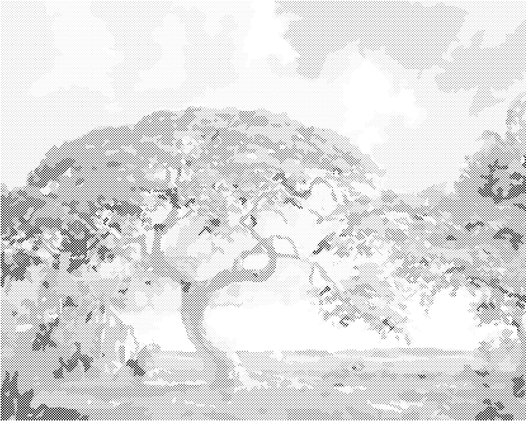 Picturi cu puncte - BONSAI CU FRUNZE ROȘII – ZUTY RO