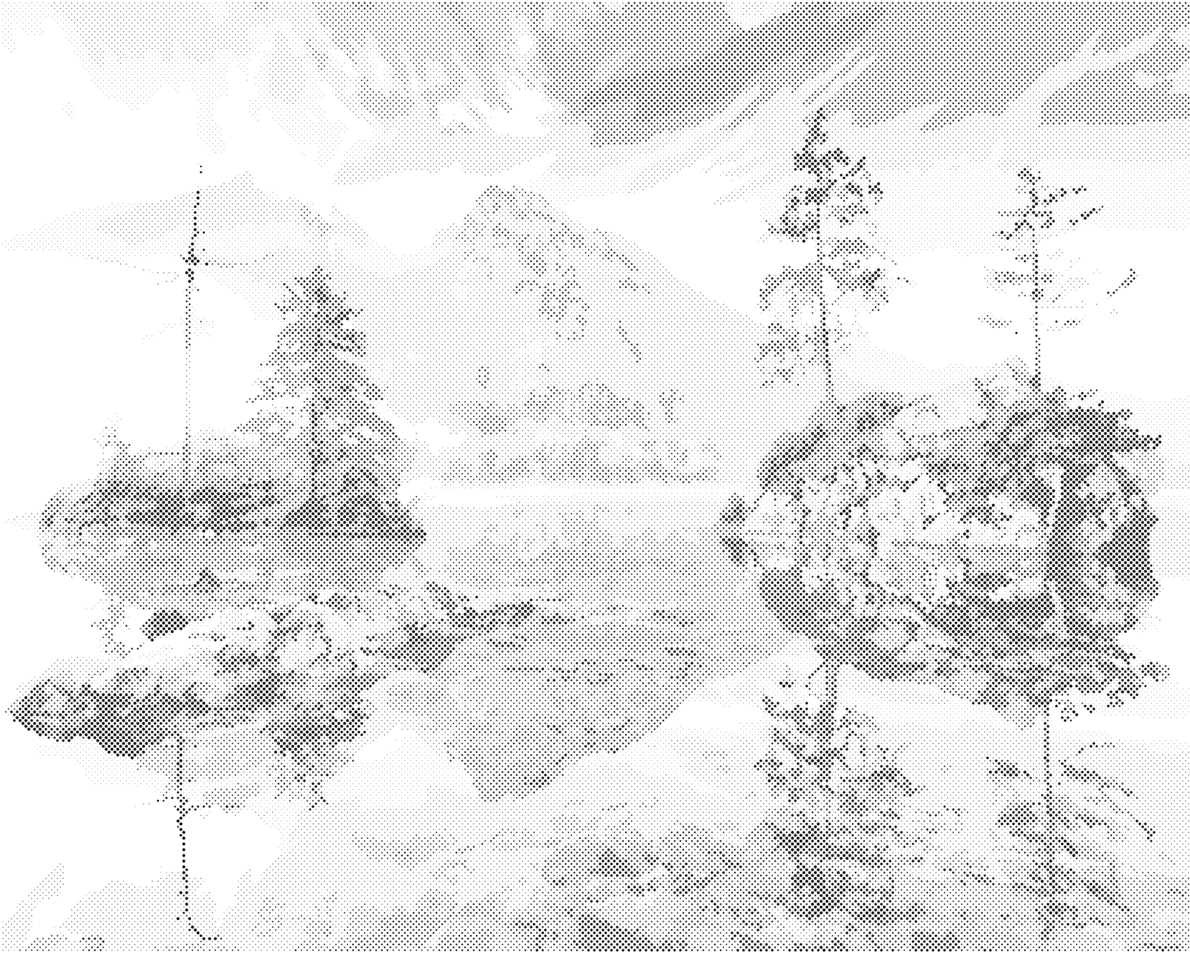 Picturi cu puncte - LACUL HINTERSEE DIN GERMANIA – ZUTY RO