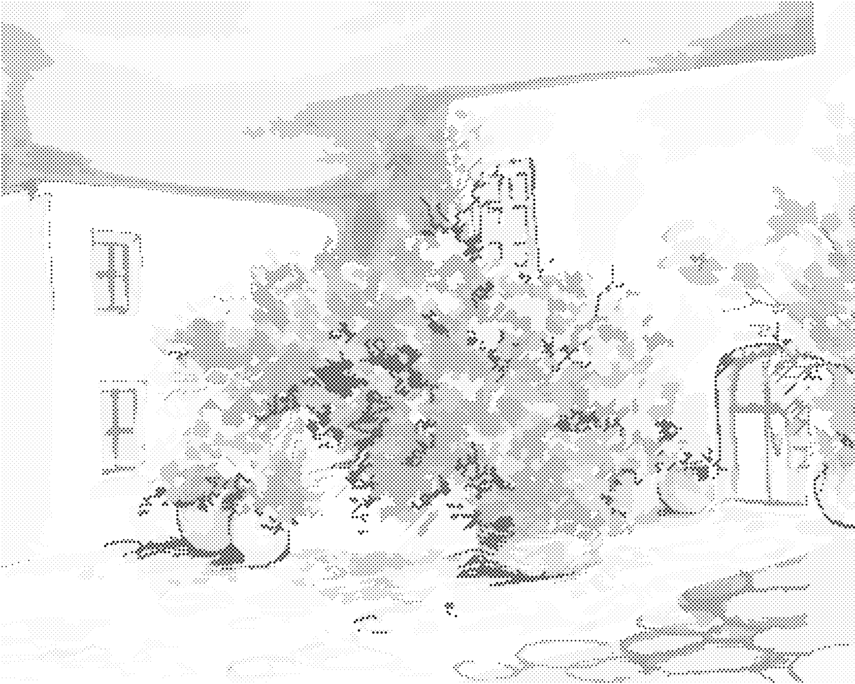 Picturi cu puncte - MALDIVE