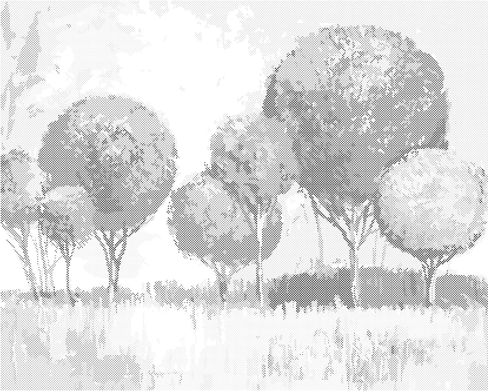 Picturi cu puncte - PĂDURE CU FRUNZE VIU COLORATE – ZUTY RO